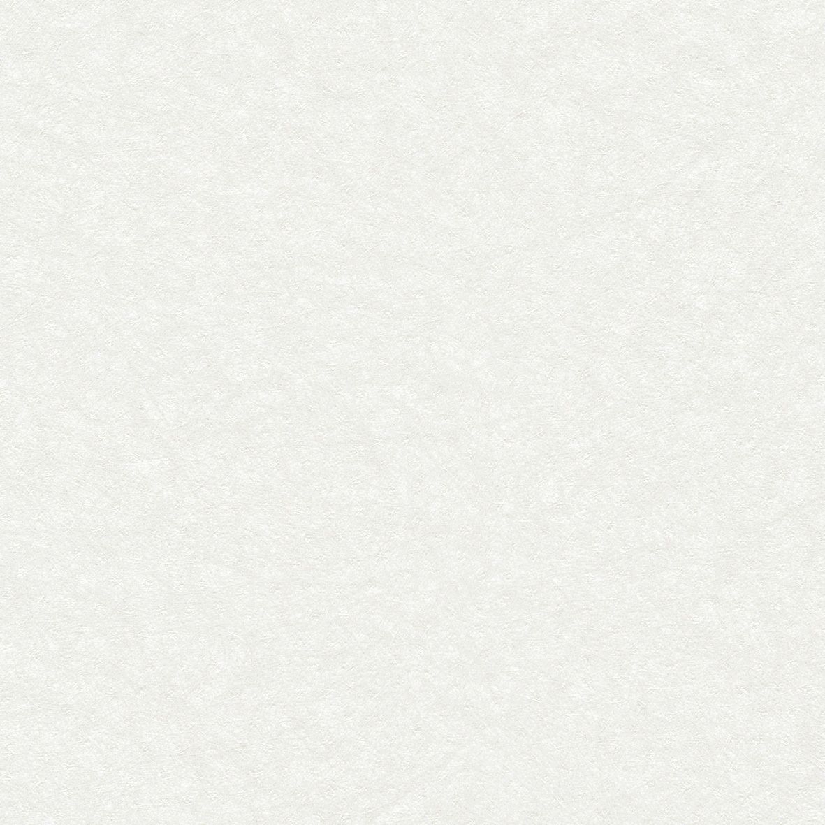 kioi/鮫小紋 さめこもん | TECTURE（テクチャー）