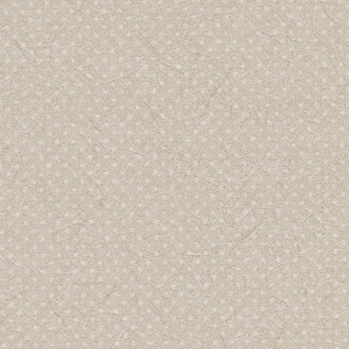 kioi/行儀 ぎょうぎ | TECTURE（テクチャー）