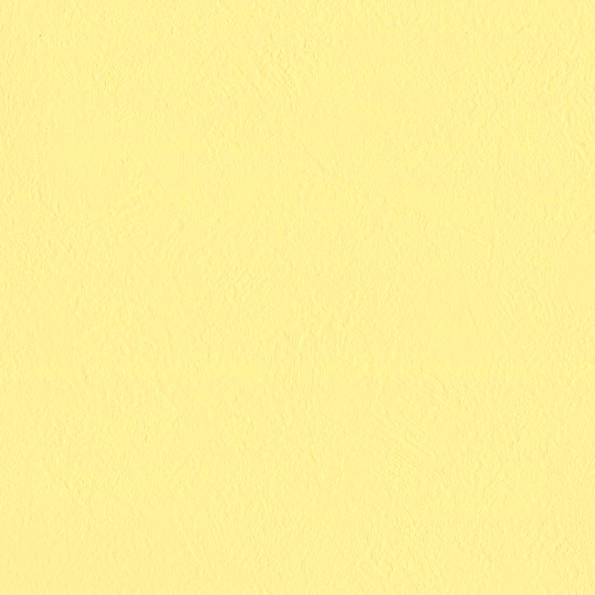 カラーバリエーション | TECTURE（テクチャー）