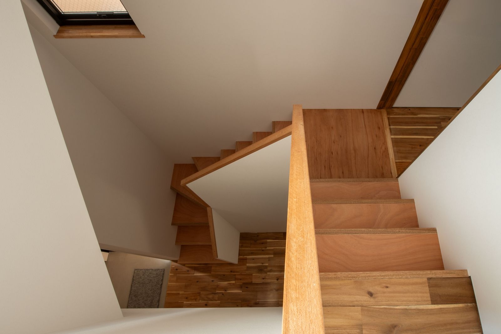 Matiieの写真 | TECTURE（テクチャー）