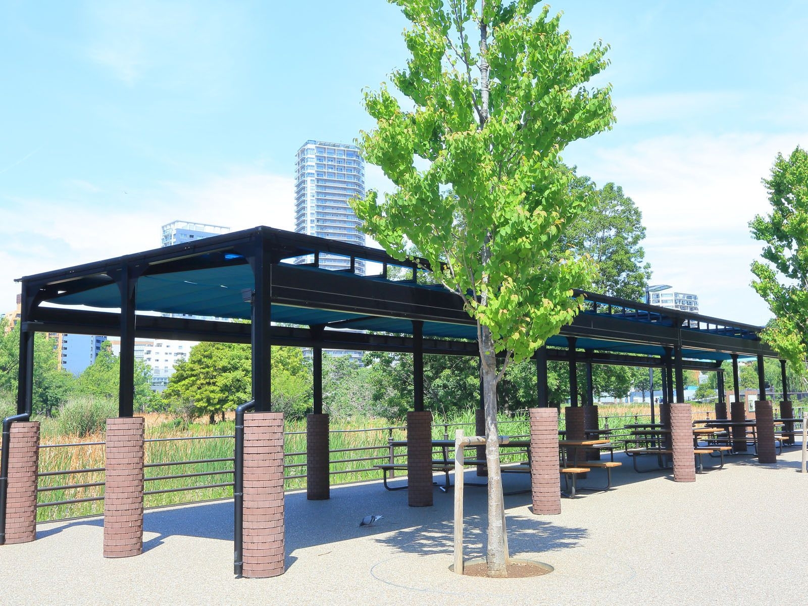 写真 | TECTURE（テクチャー）