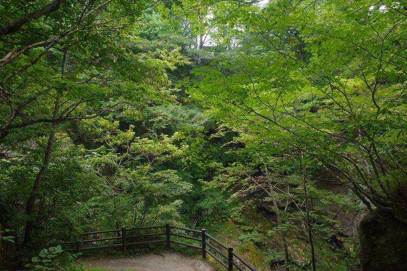 秋保 もりそばSHIN − 軒がつなぐ、渓谷に開く庵 | TECTURE（テクチャー）