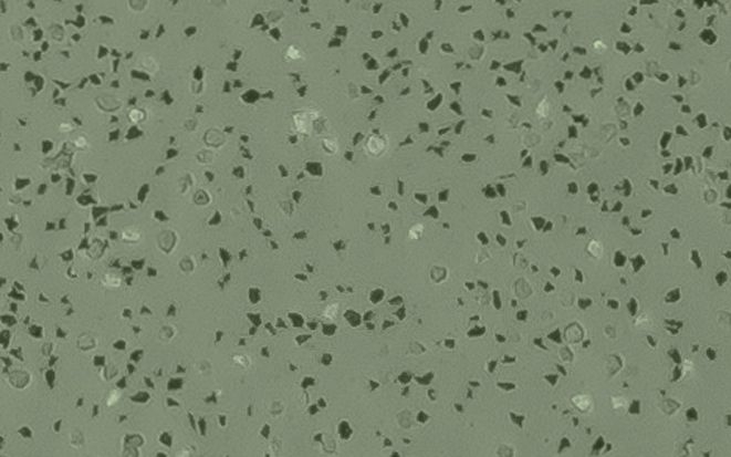 ネオセーフ/抗菌20 | TECTURE（テクチャー）