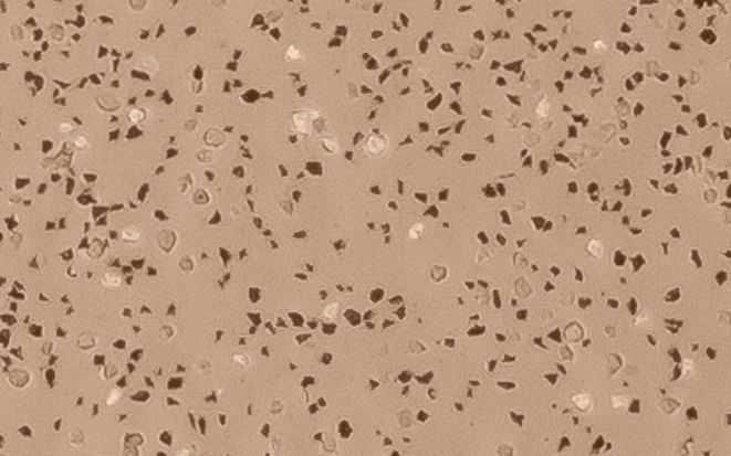 ネオセーフ/抗菌20 | TECTURE（テクチャー）