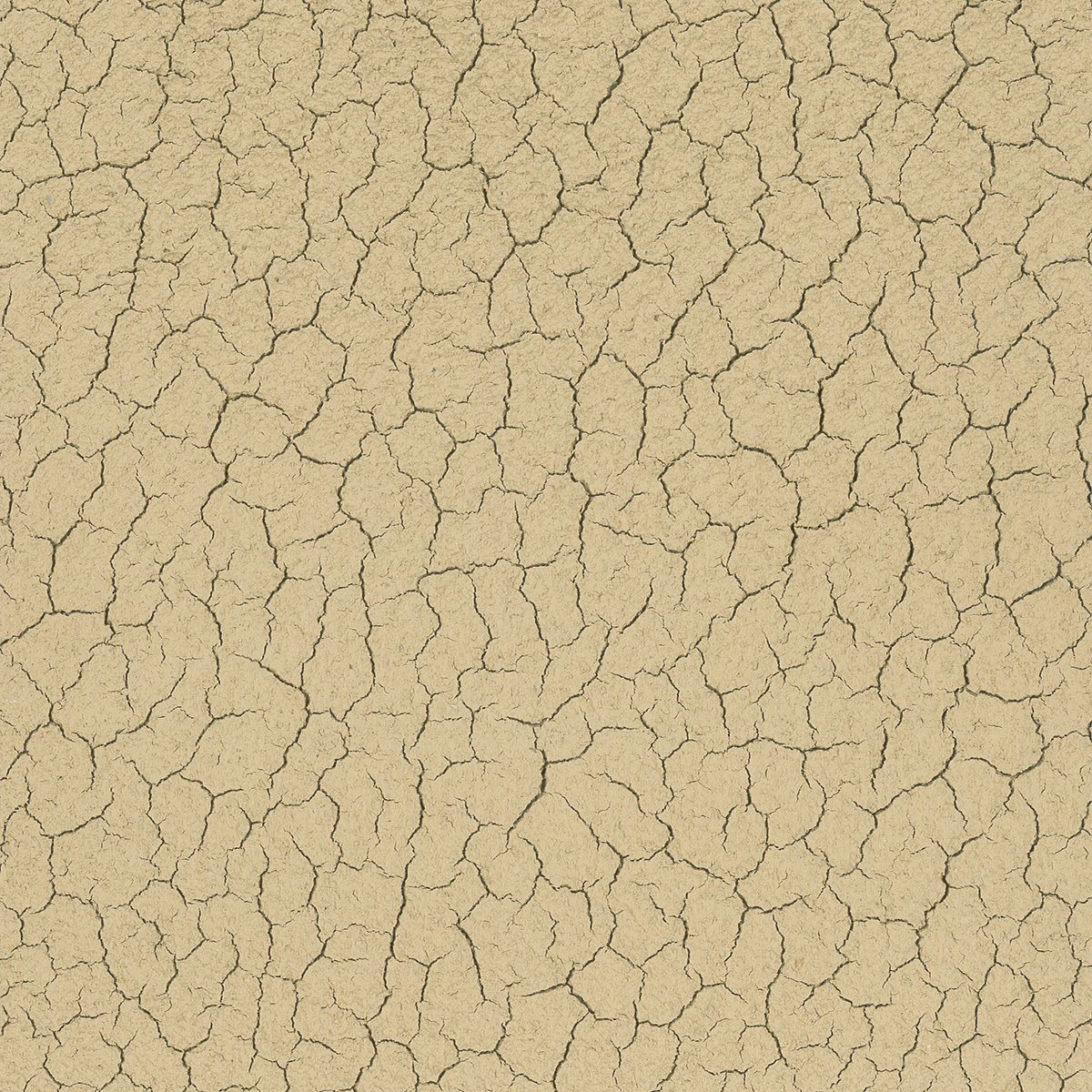 土壁空間 大地 - No.63 | TECTURE（テクチャー）