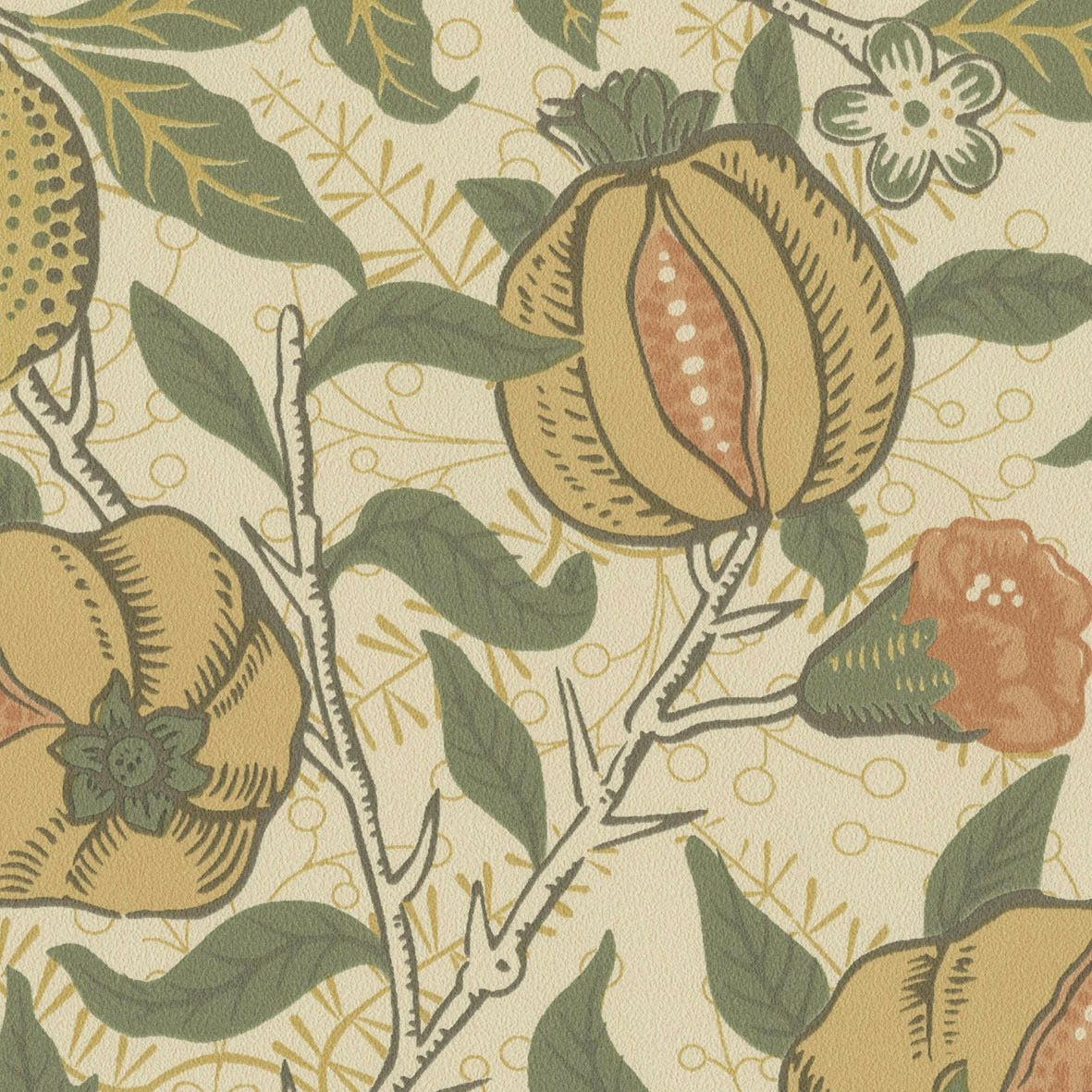 V&A/Fruit フルーツ | TECTURE（テクチャー）