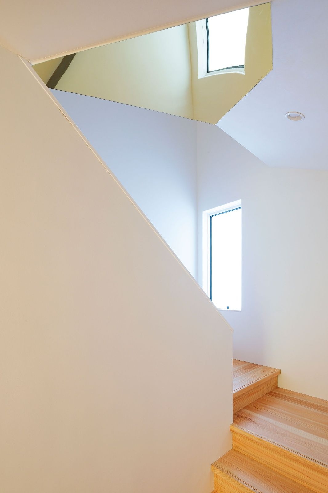 T/K邸 の写真 | TECTURE（テクチャー）