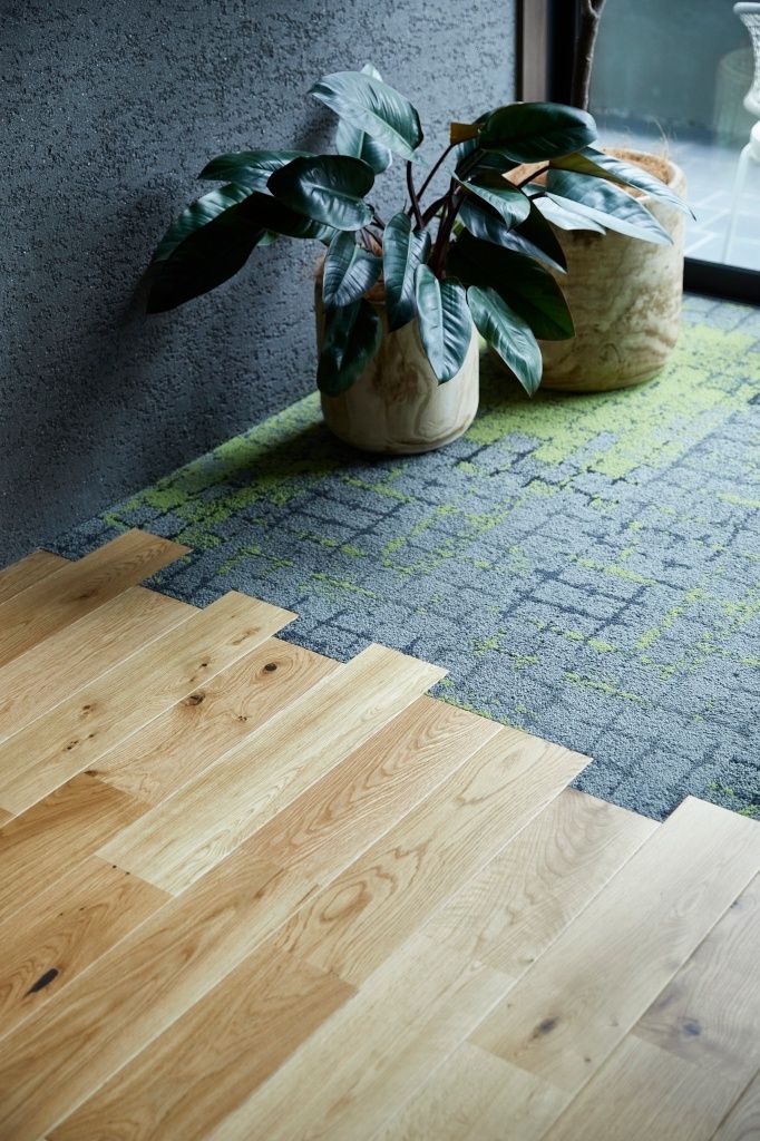 写真 | TECTURE（テクチャー）