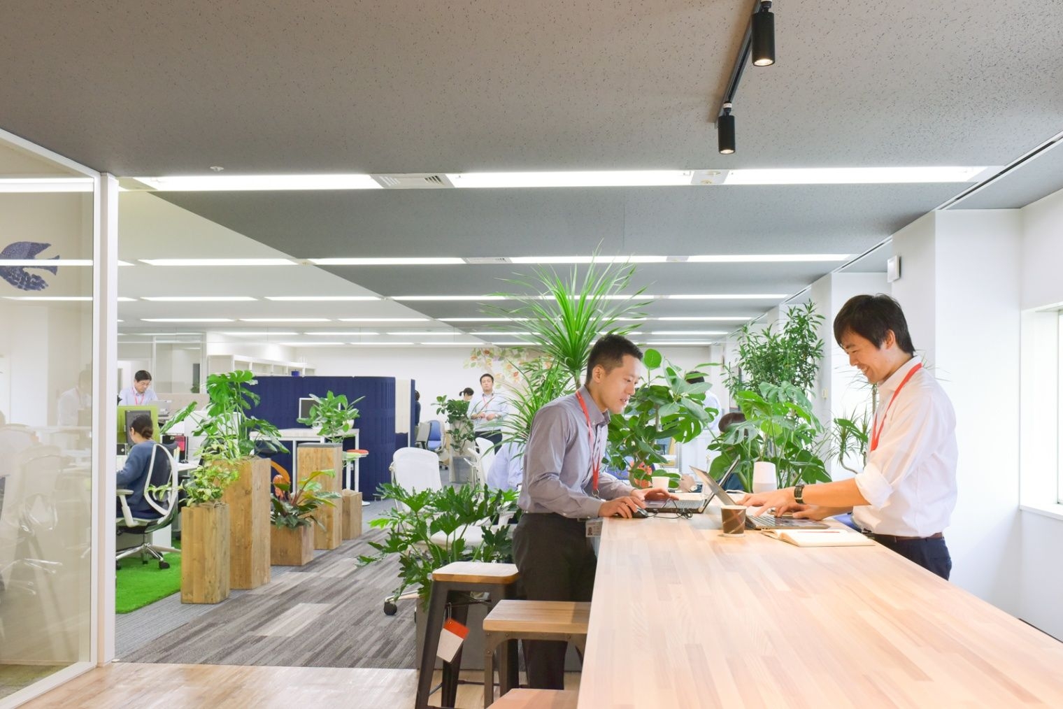 オカムラ 新宿KEN-CO(健考)LABOの写真 | TECTURE（テクチャー）