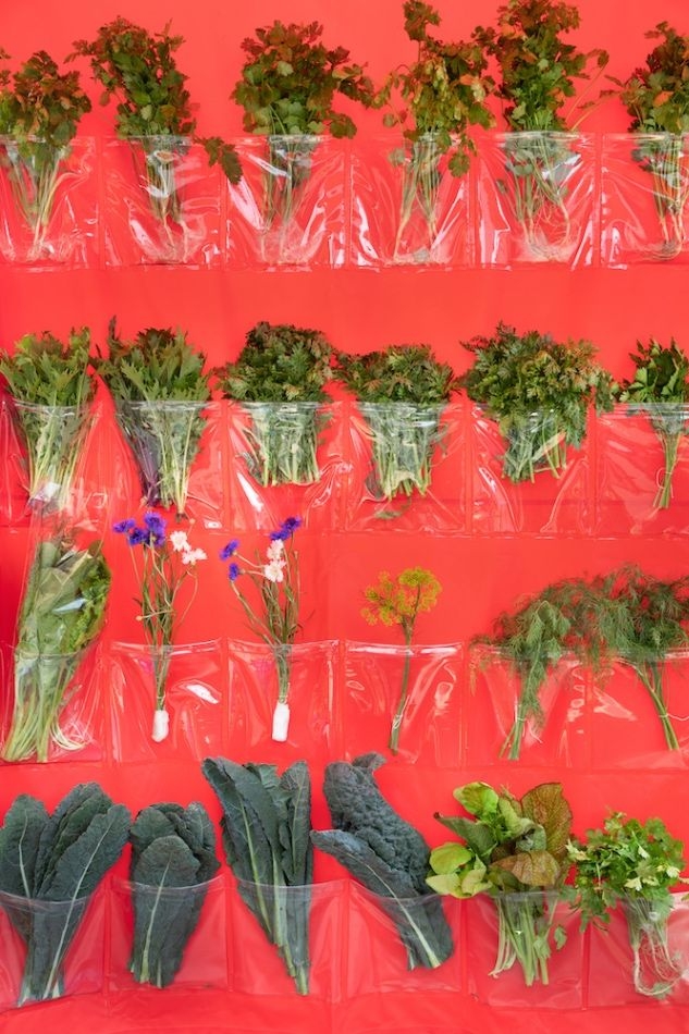 野菜の無人販売所の写真 | TECTURE（テクチャー）