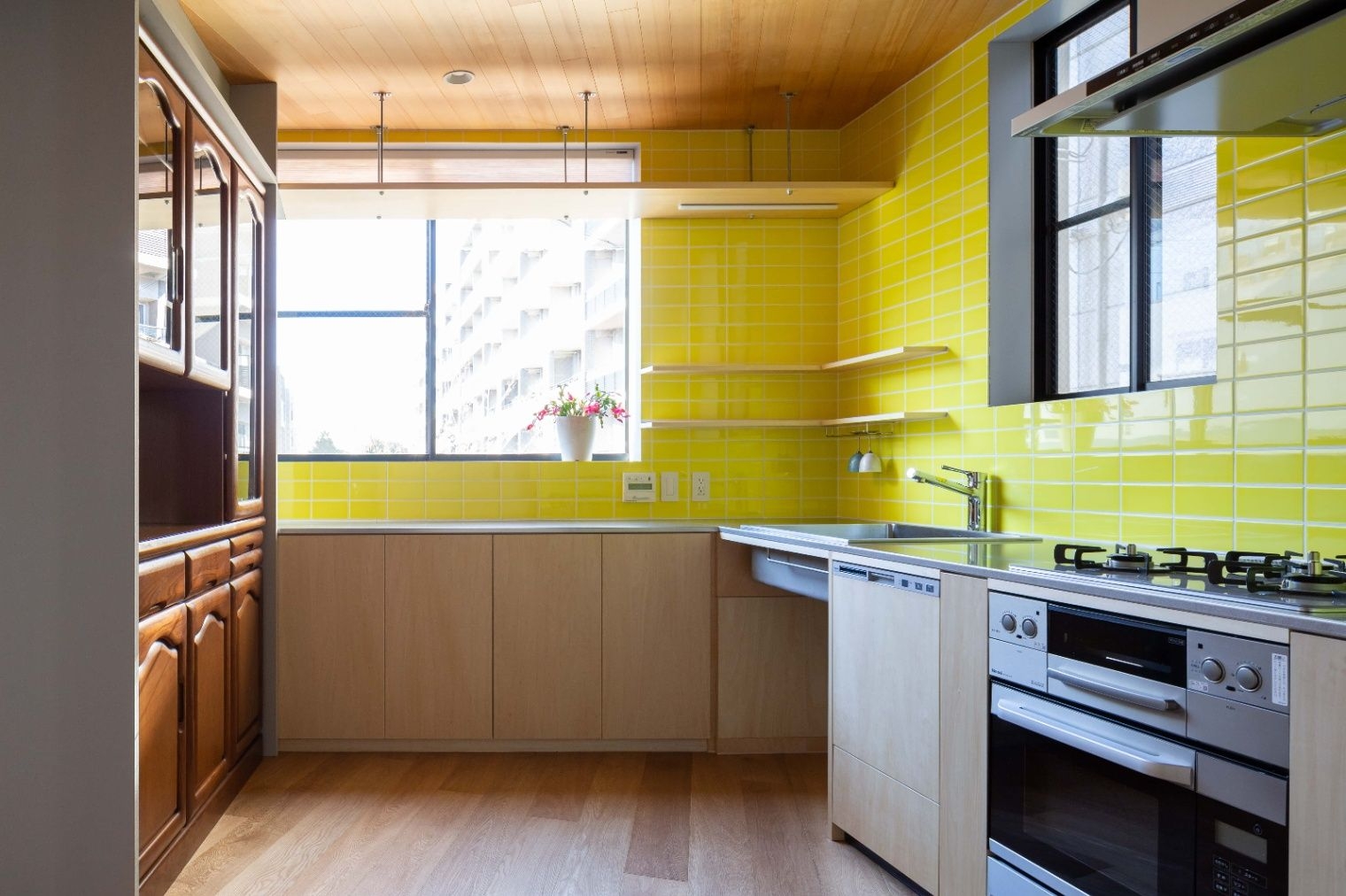 ROKA の写真 | TECTURE（テクチャー）