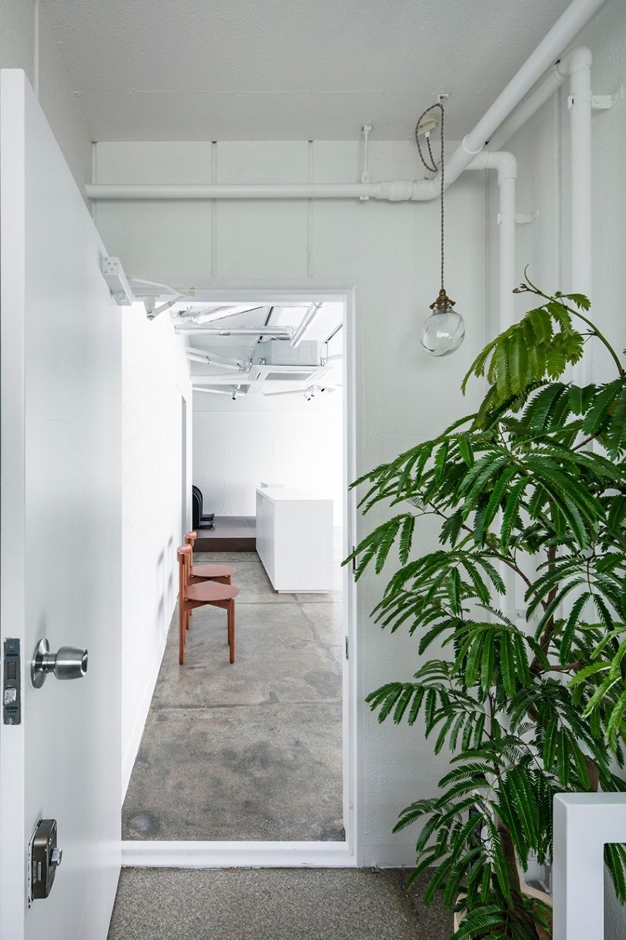 sisu の写真 | TECTURE（テクチャー）