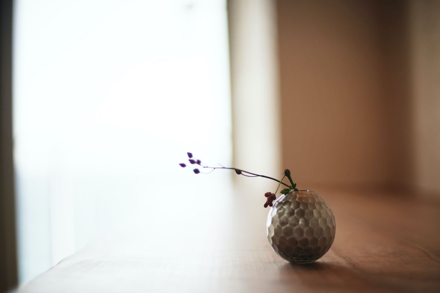 K HOUSEの写真 | TECTURE（テクチャー）