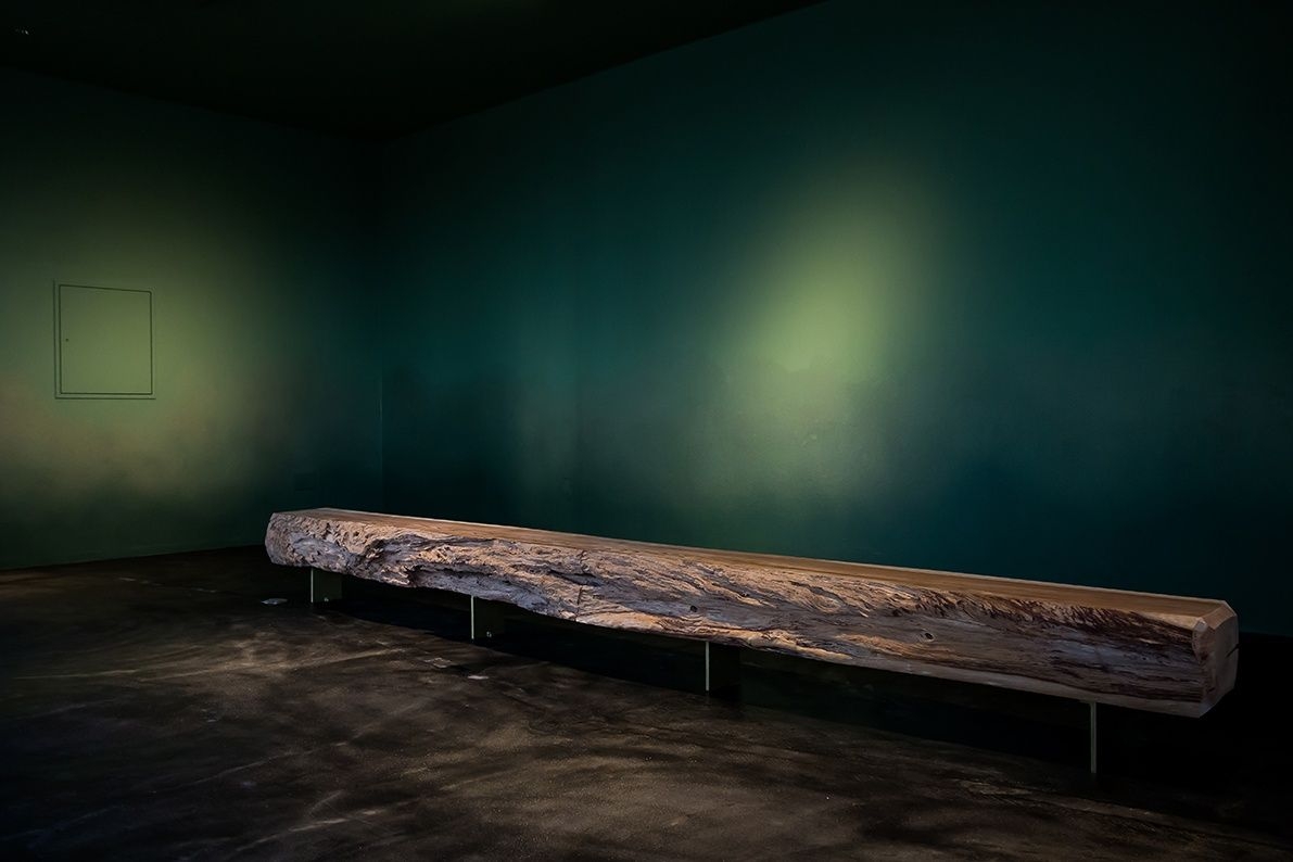 BONCHI TENの写真 | TECTURE（テクチャー）