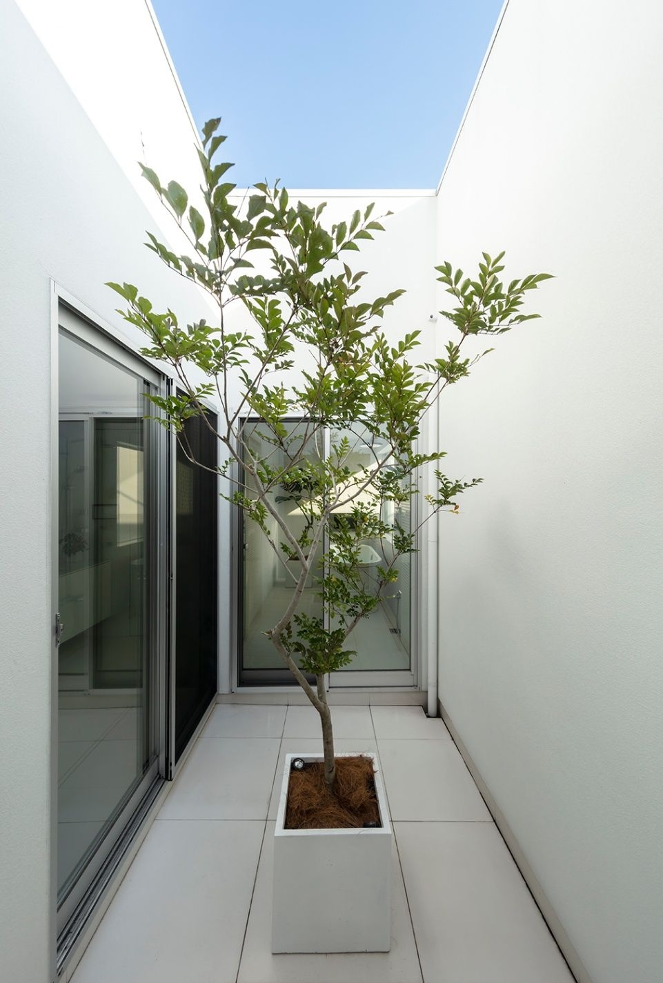 HouseNKの写真 | TECTURE（テクチャー）