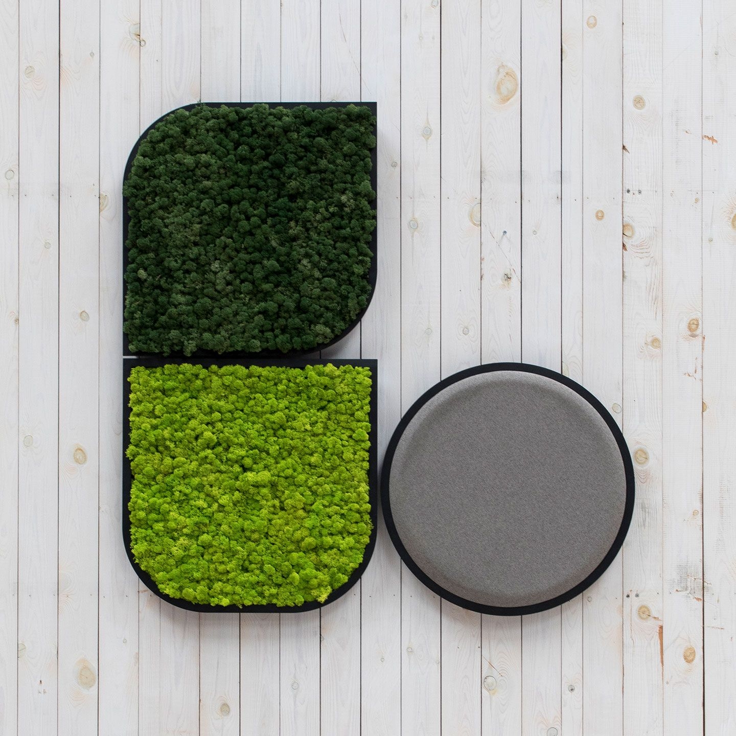 BuzziMood | TECTURE（テクチャー）