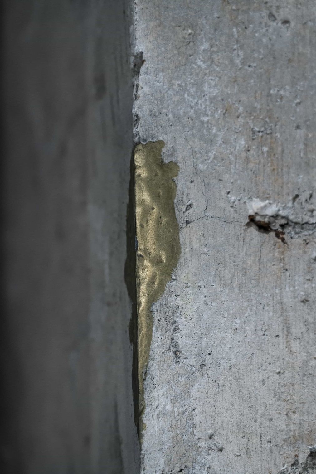 ASKWATCHの写真 | TECTURE（テクチャー）