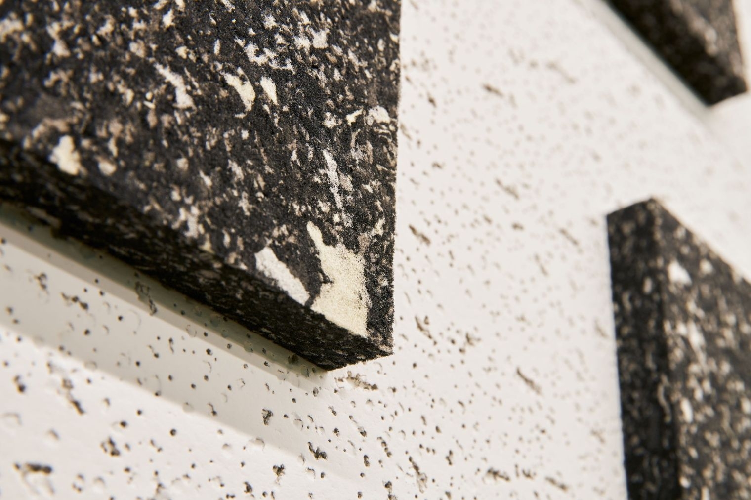 TENTiEの写真 | TECTURE（テクチャー）