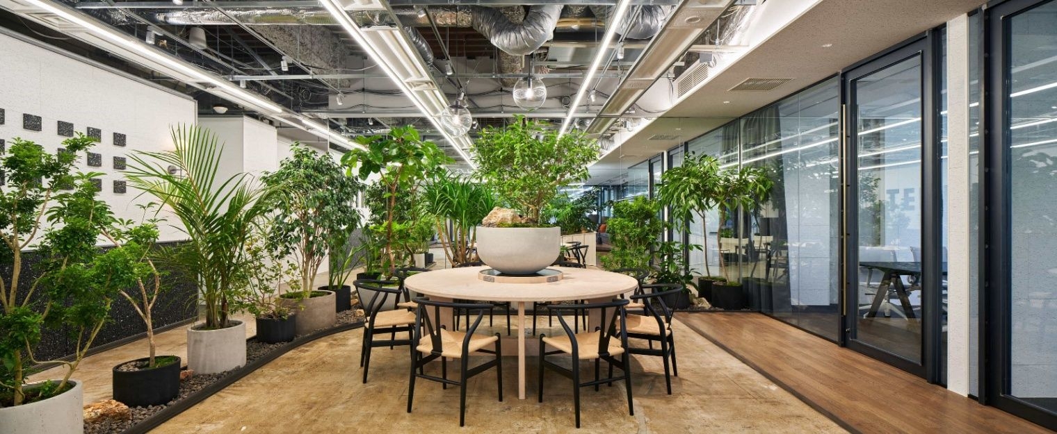 TENTiEの写真 | TECTURE（テクチャー）