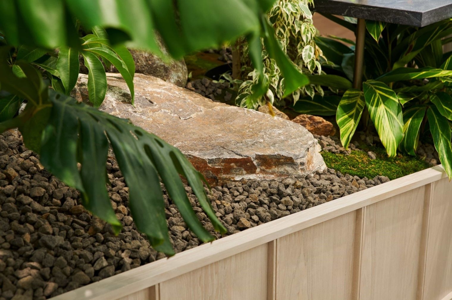 TENTiEの写真 | TECTURE（テクチャー）