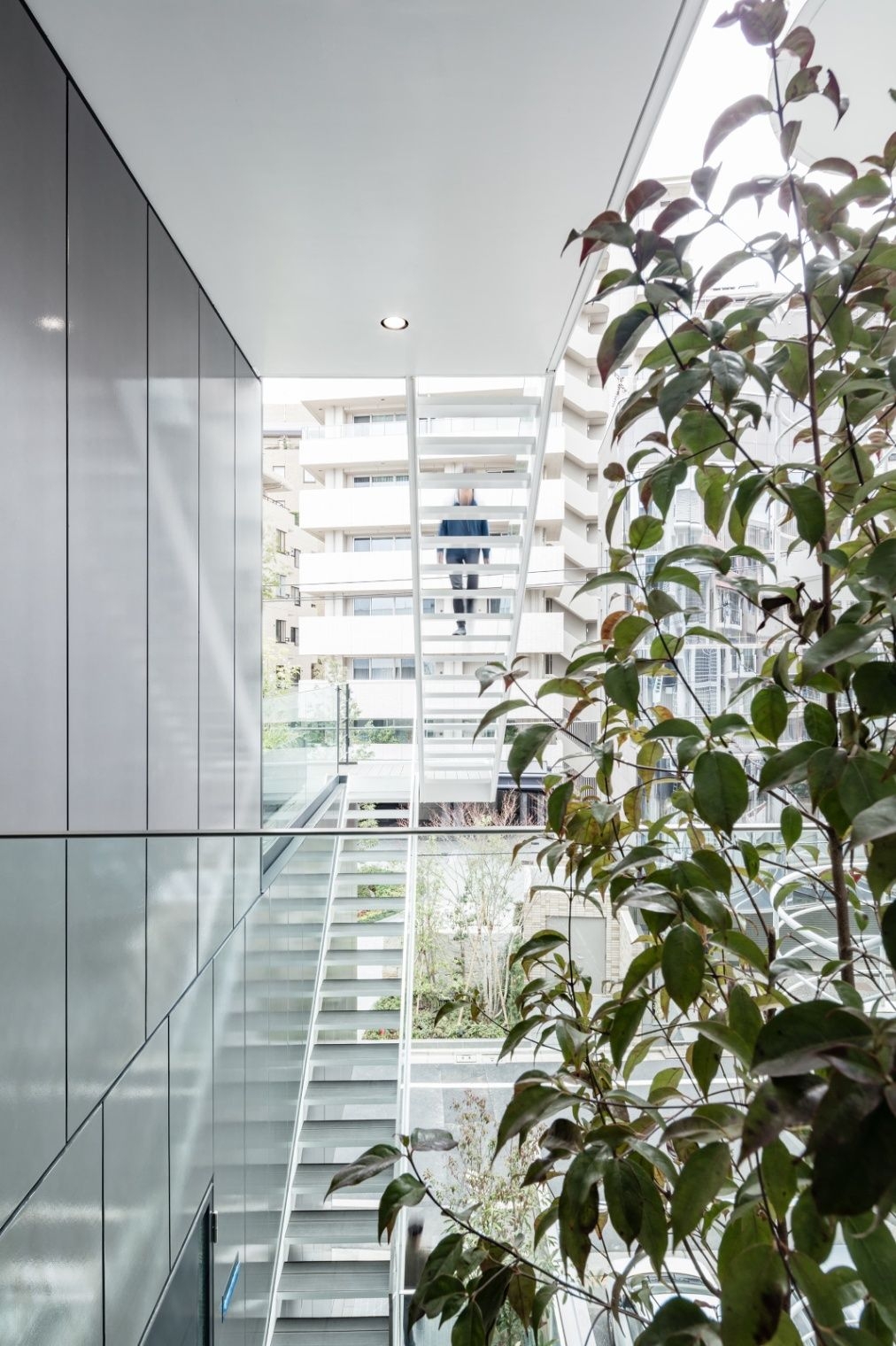 ESCALIER GOBANCHOの写真 | TECTURE（テクチャー）