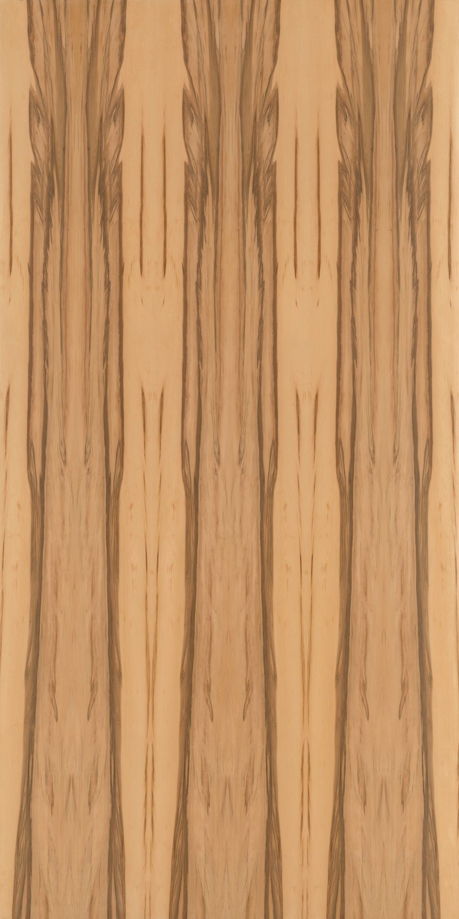 +WONDER メラミン SATIN WALNUT | TECTURE（テクチャー）