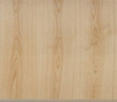 VIVO大雪山のナラ | TECTURE（テクチャー）