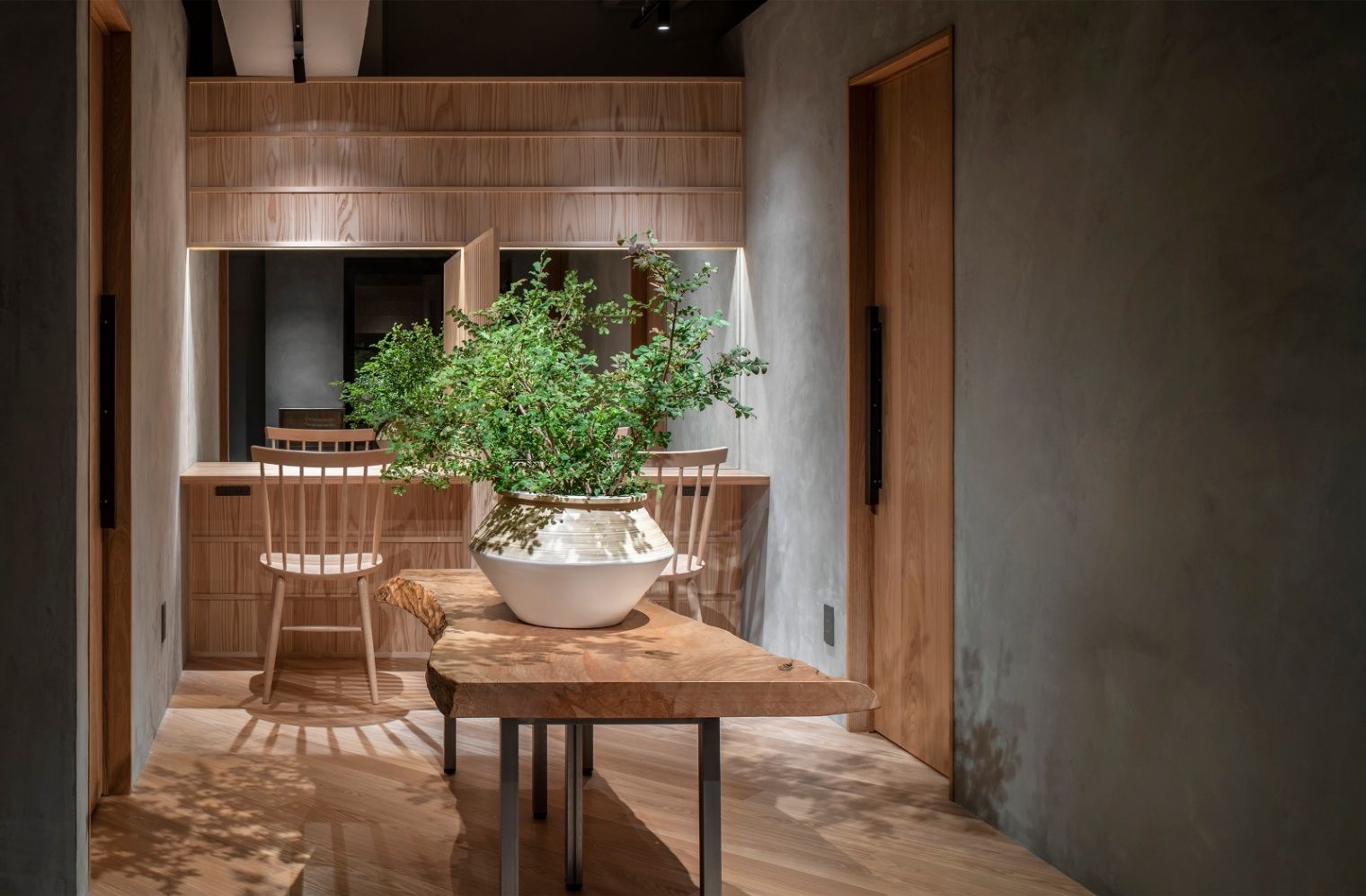 SOKIの写真 | TECTURE（テクチャー）