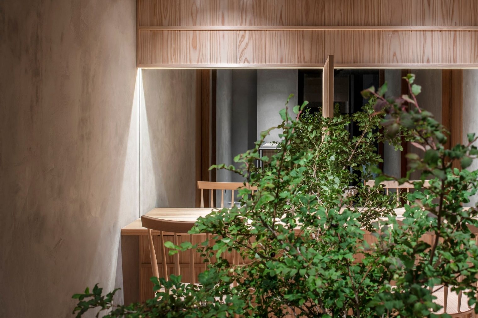 SOKIの写真 | TECTURE（テクチャー）