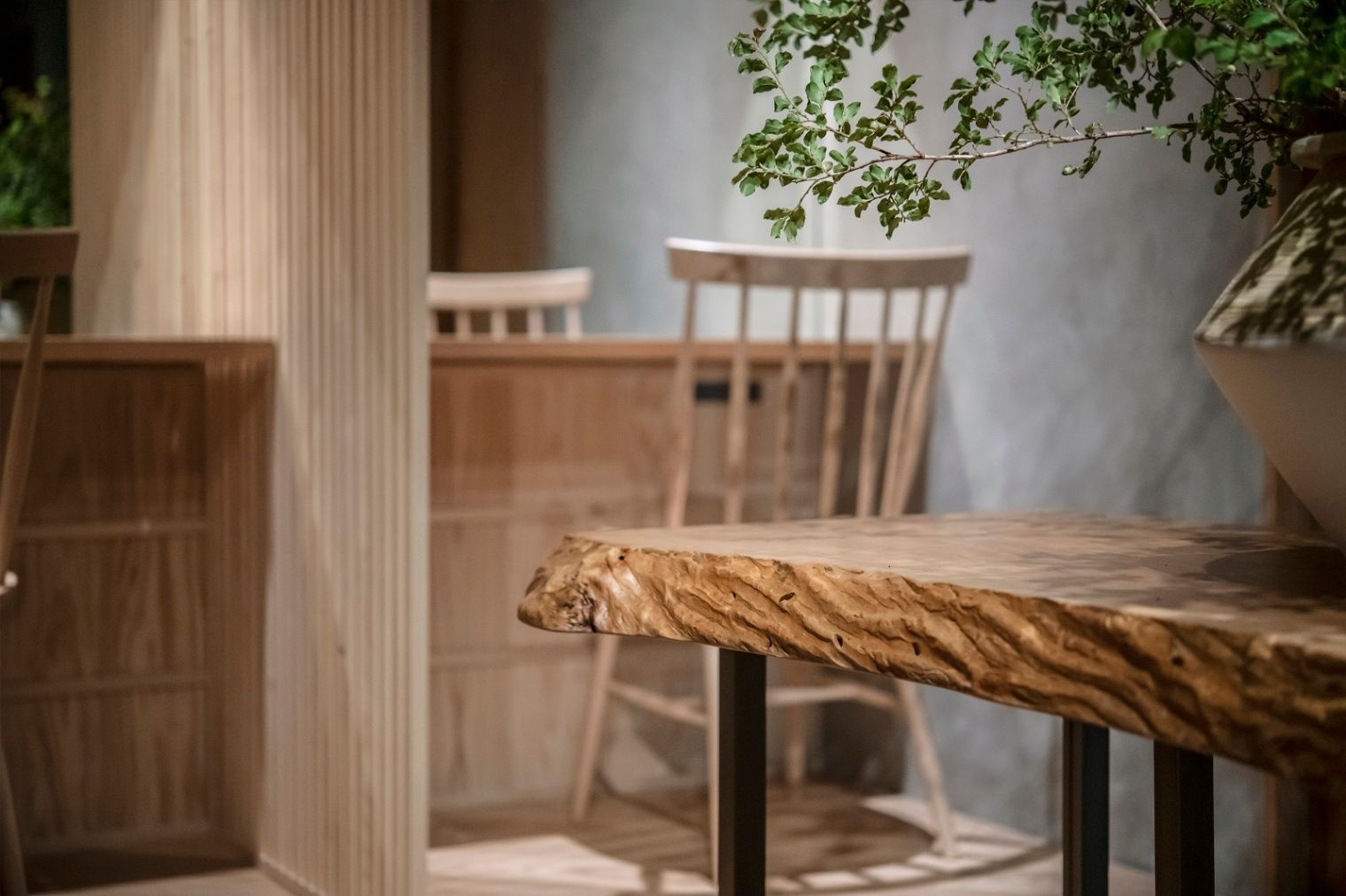 SOKIの写真 | TECTURE（テクチャー）