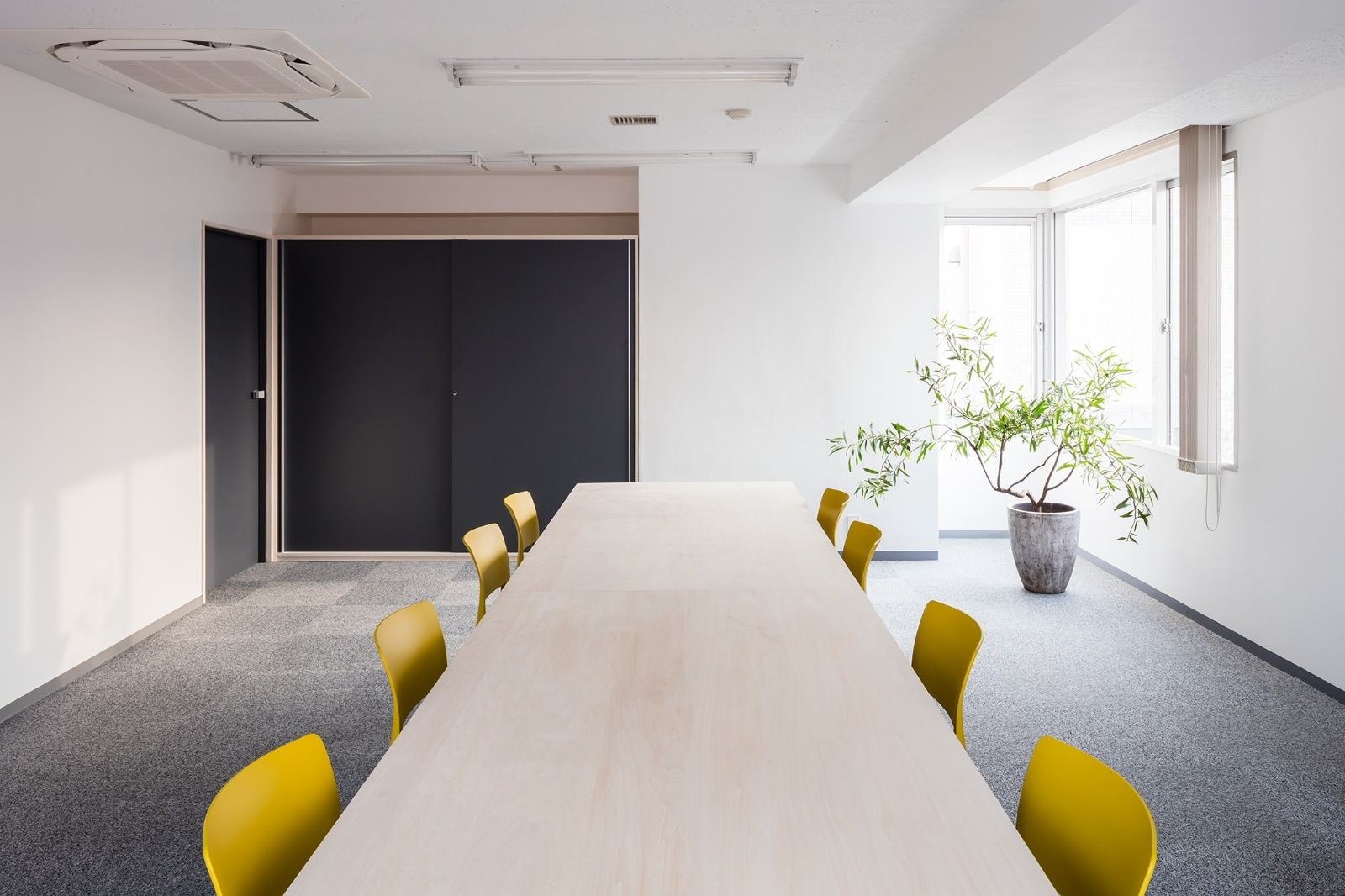 Commewの写真 | TECTURE（テクチャー）