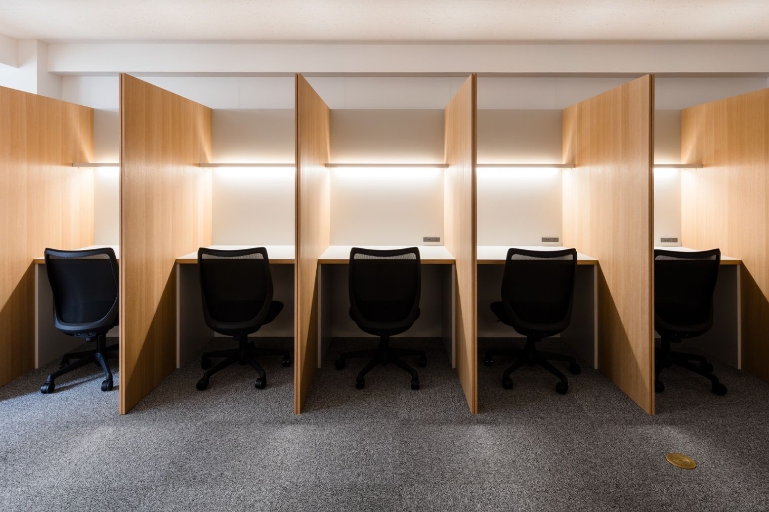 Commewの写真 | TECTURE（テクチャー）