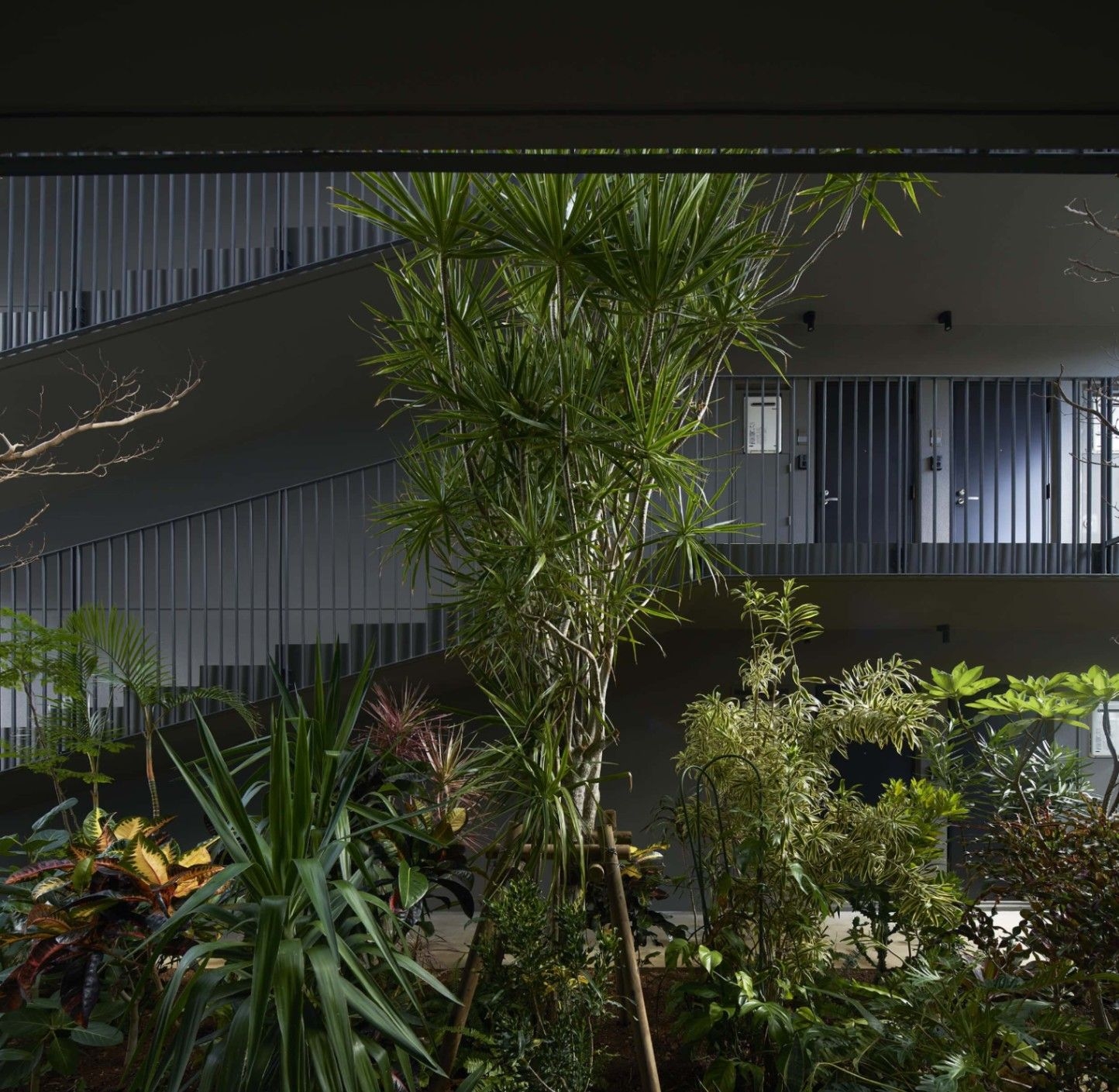 N_apartment | TECTURE（テクチャー）