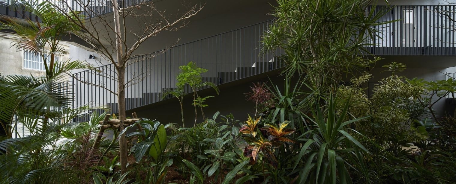 N_apartmentの写真 | TECTURE（テクチャー）