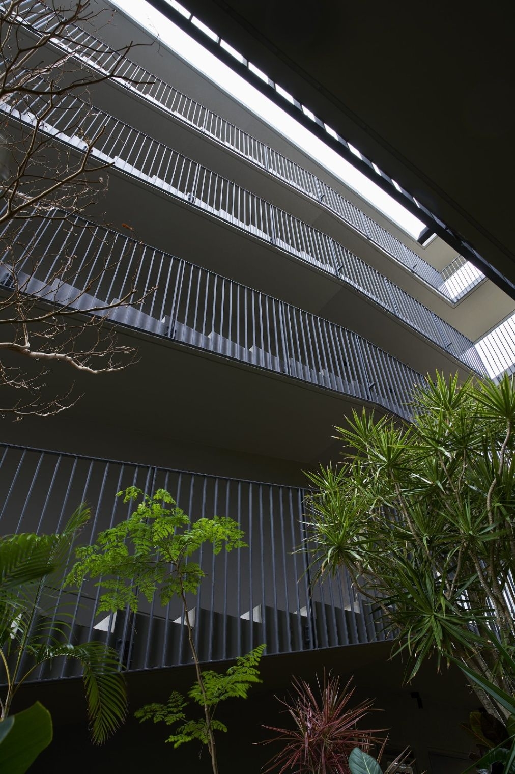 N_apartmentの写真 | TECTURE（テクチャー）