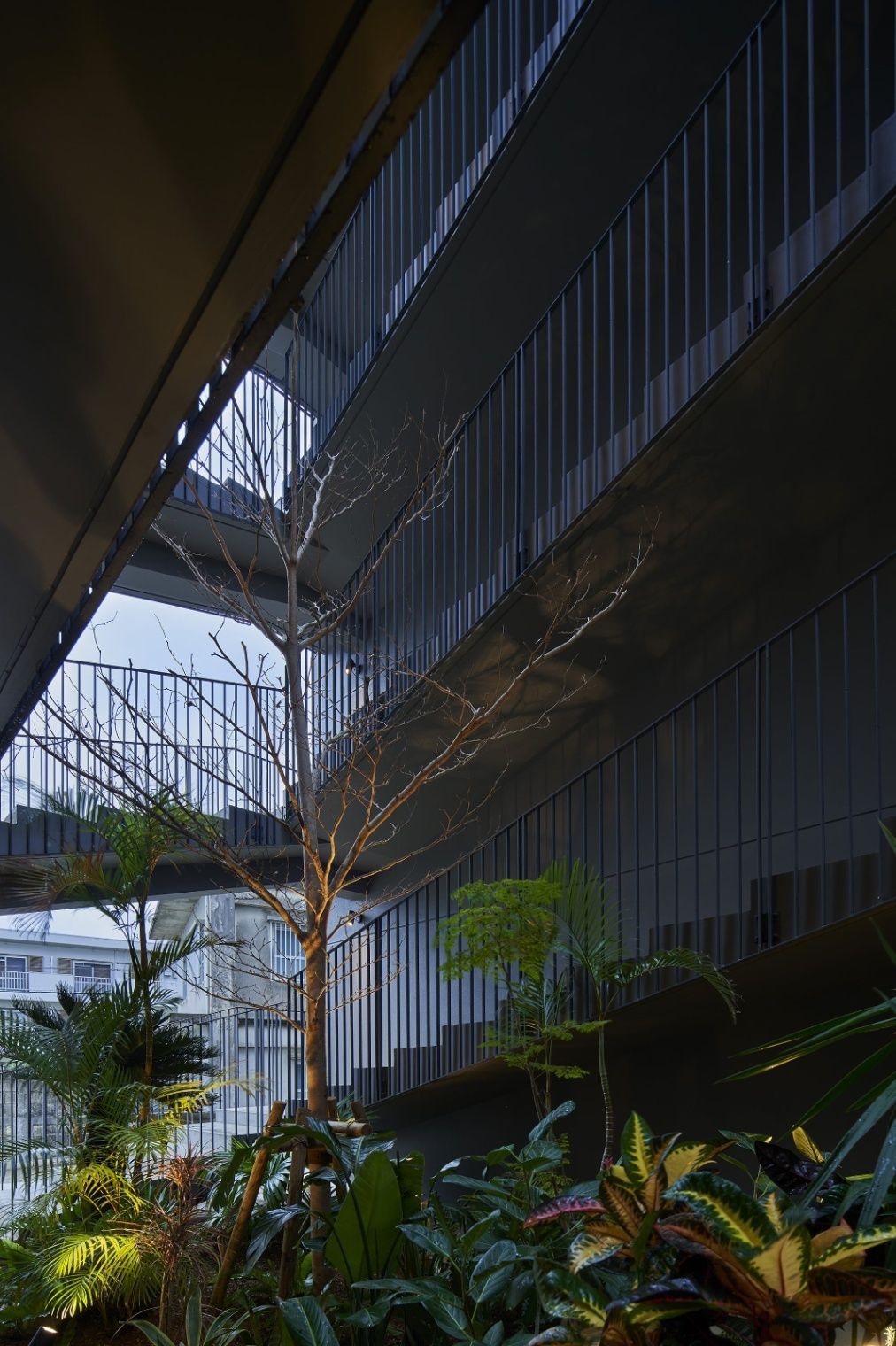 N_apartmentの写真 | TECTURE（テクチャー）