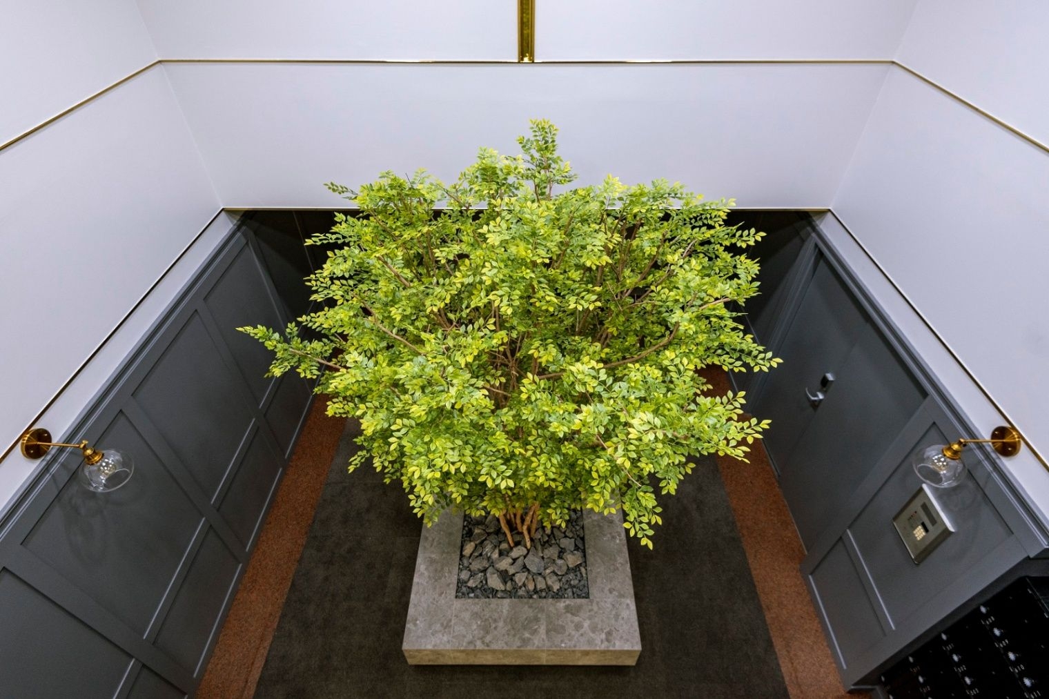 押上PARK SQUAREの写真 | TECTURE（テクチャー）