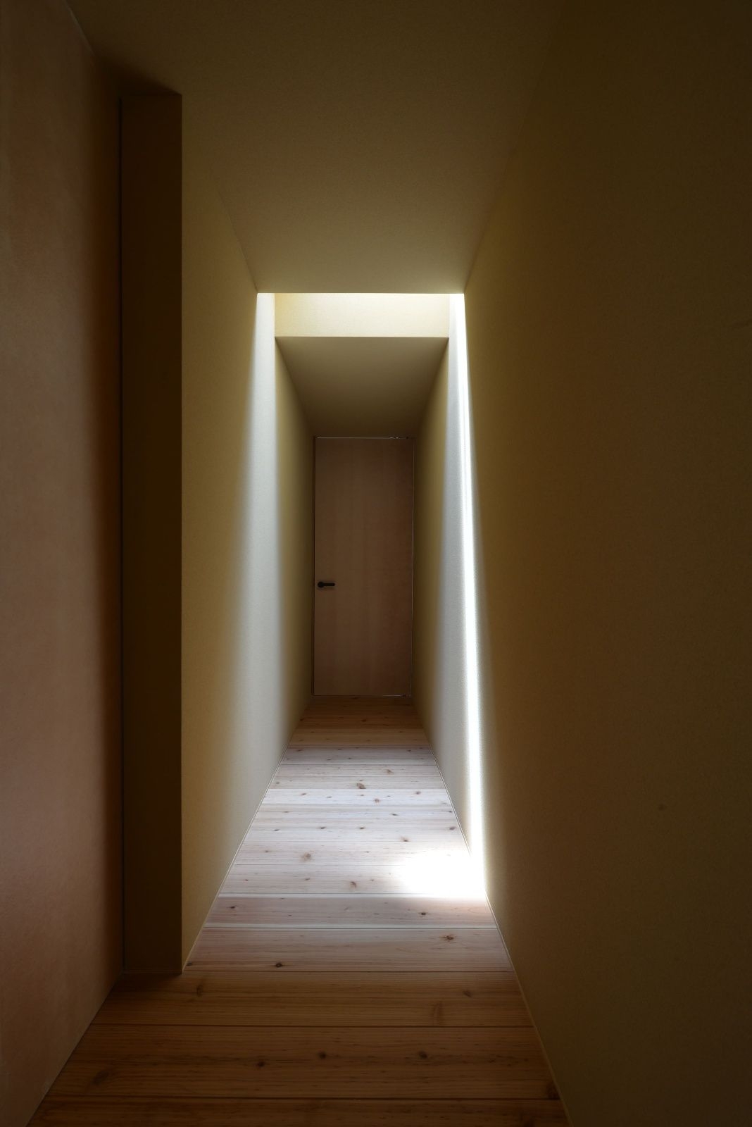 美しい光の家。 Case Study House #43 の写真 | TECTURE（テクチャー）