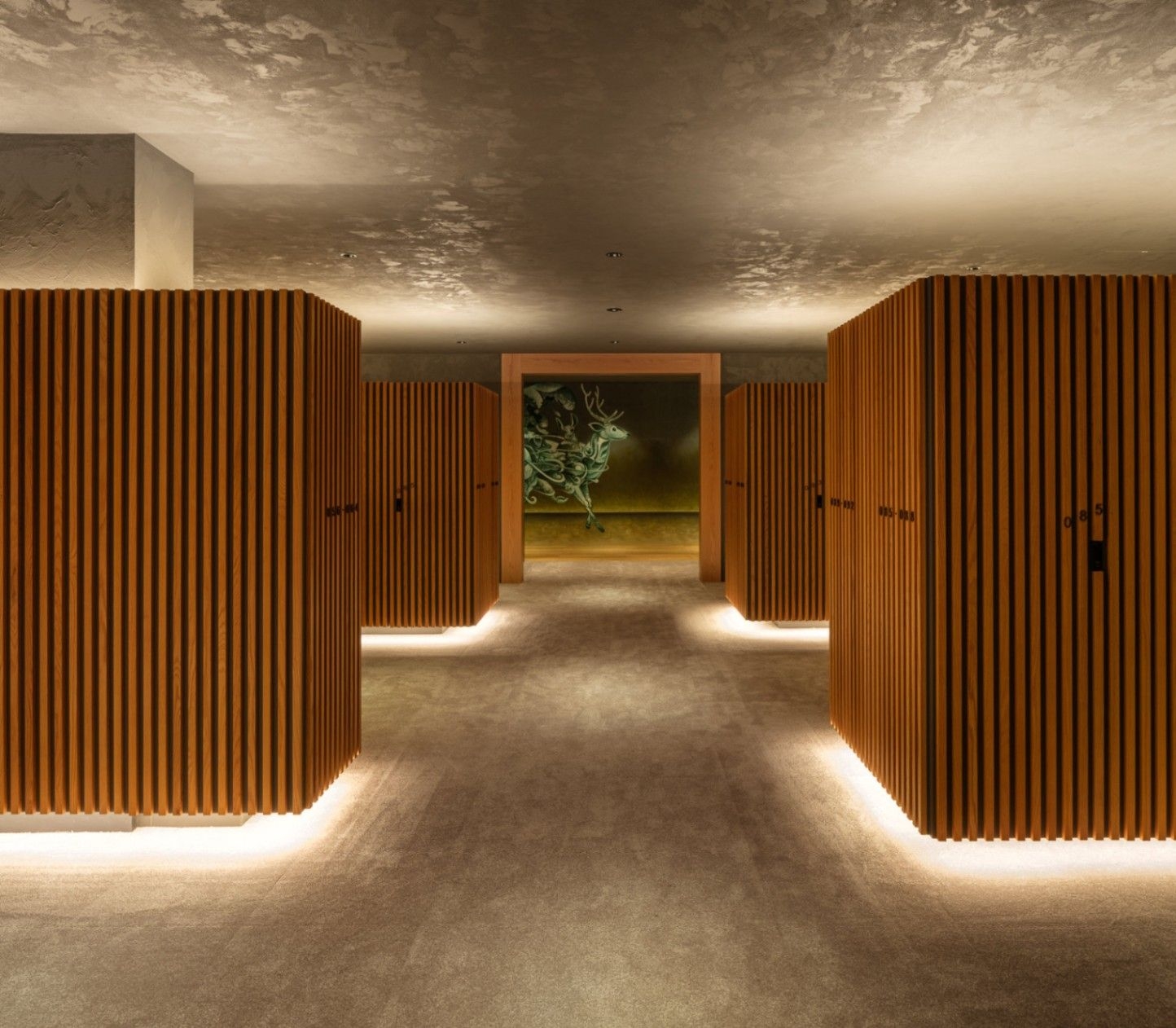 THE RAYSUMの写真 | TECTURE（テクチャー）