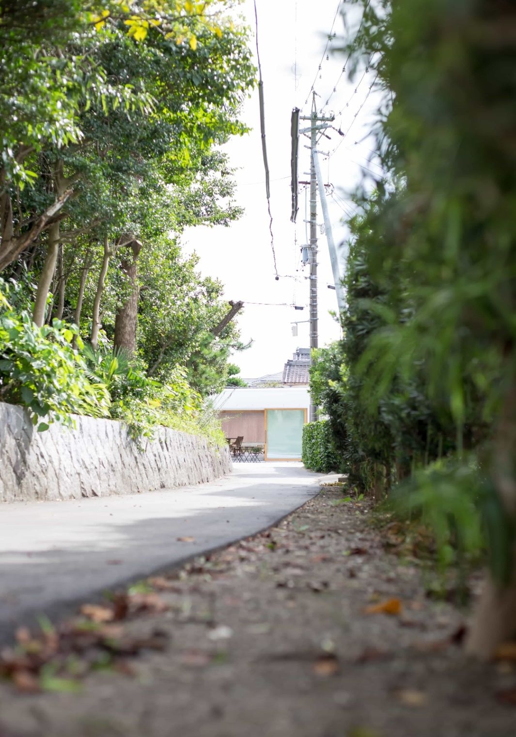 House HMの写真 | TECTURE（テクチャー）