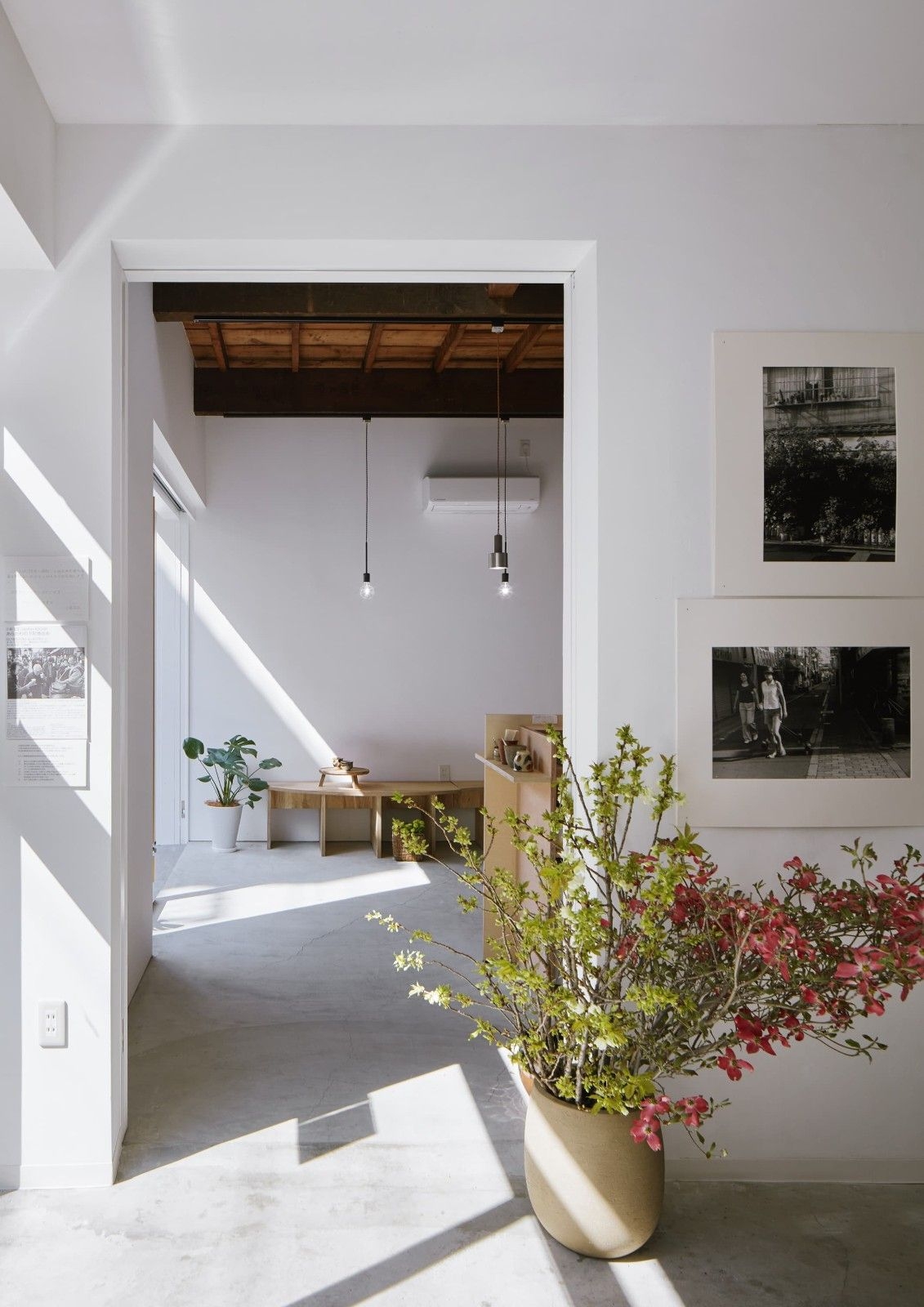 OGU MAG +の写真 | TECTURE（テクチャー）