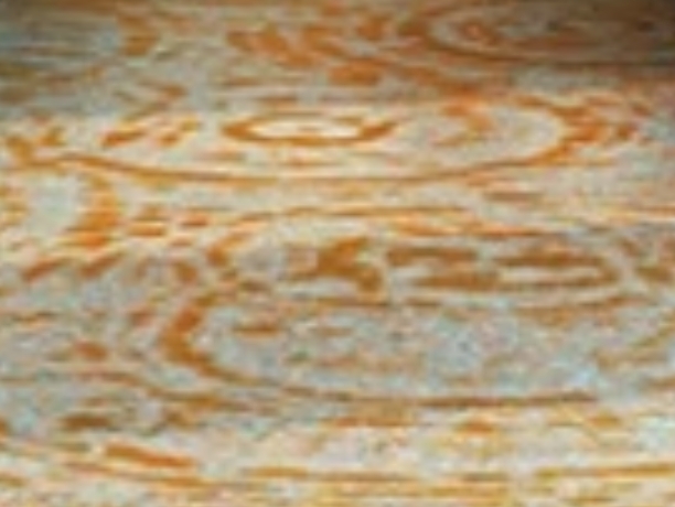 特注カーペット | TECTURE（テクチャー）