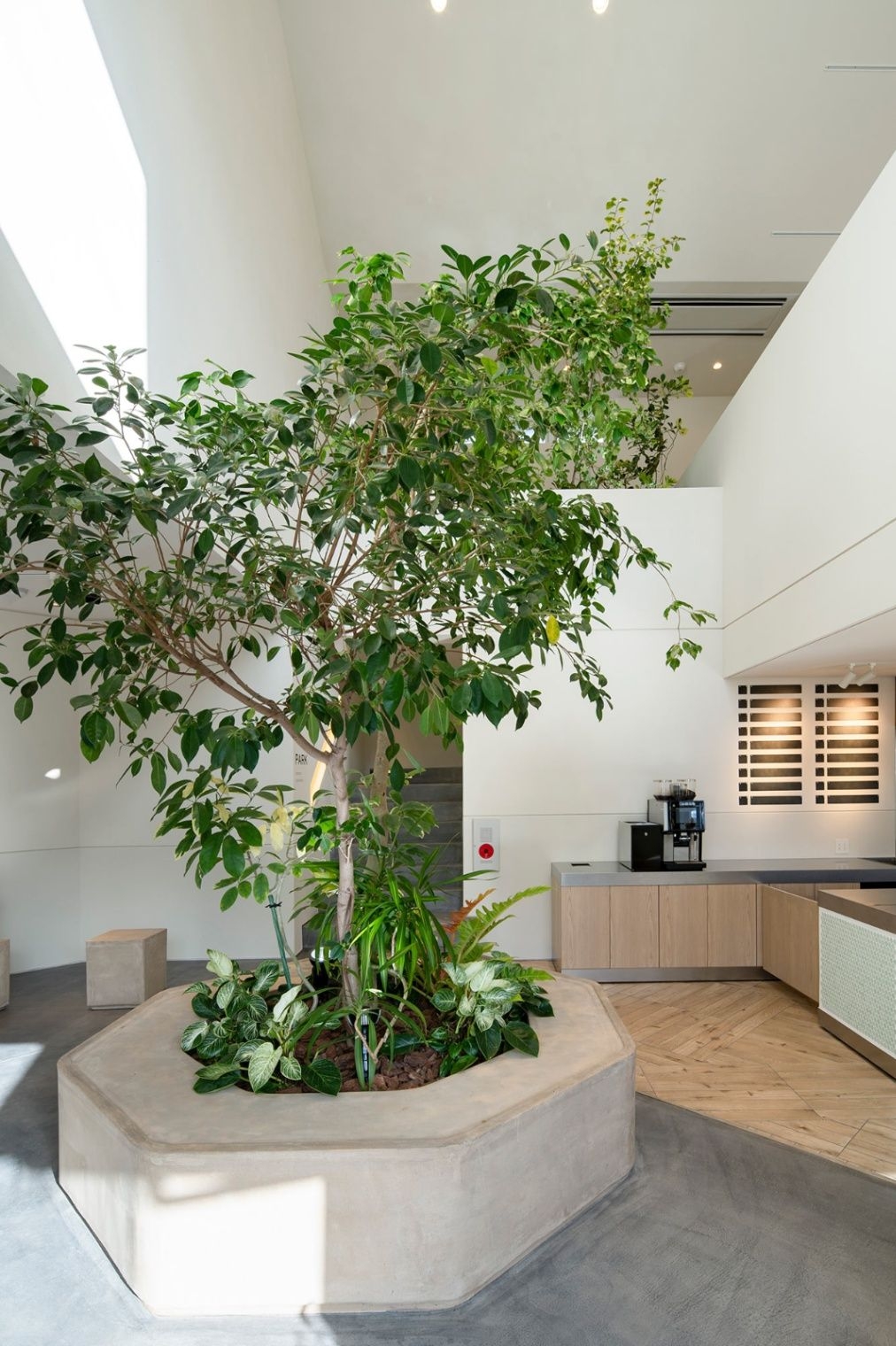 THE BAKE STOREの写真 | TECTURE（テクチャー）