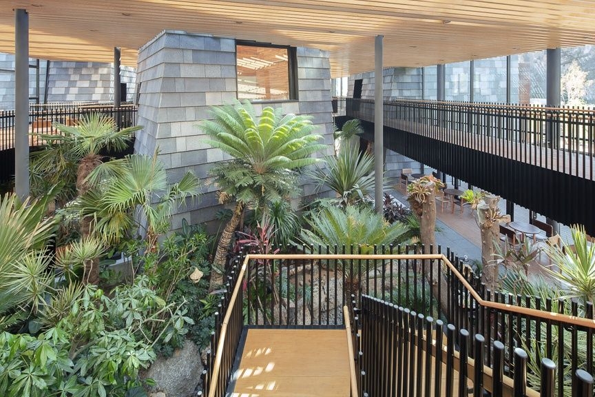 Forest Valley Hot spring Centerの写真 | TECTURE（テクチャー）