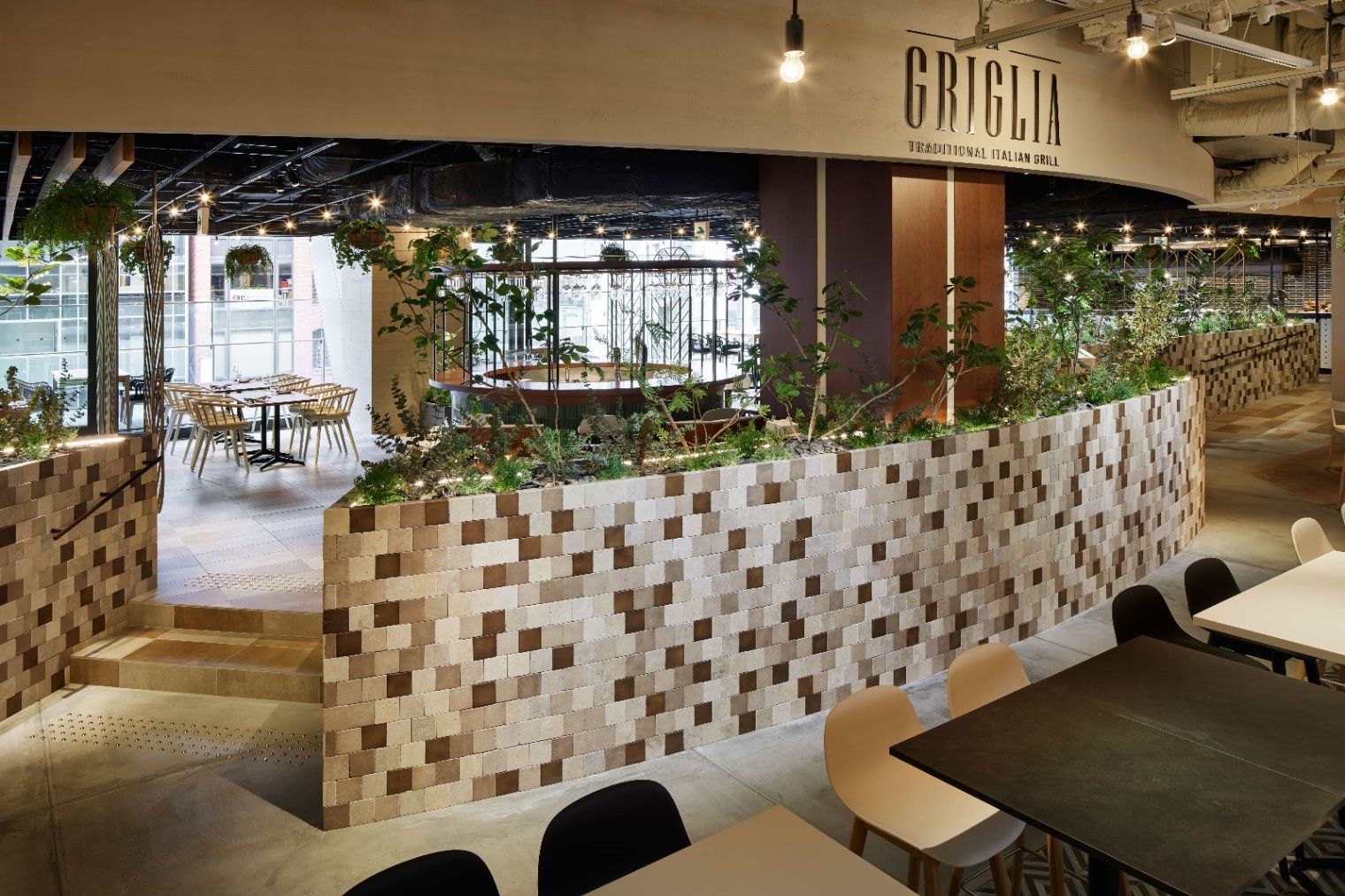 イータリー銀座店の写真 | TECTURE（テクチャー）