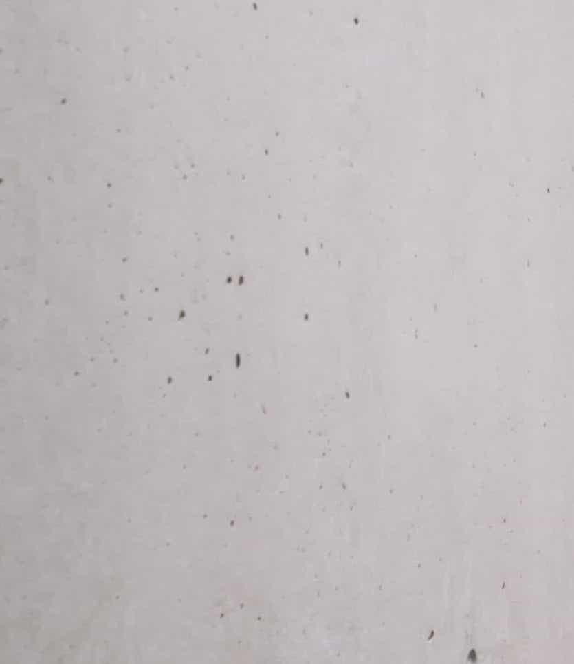 APクリヤー | TECTURE（テクチャー）